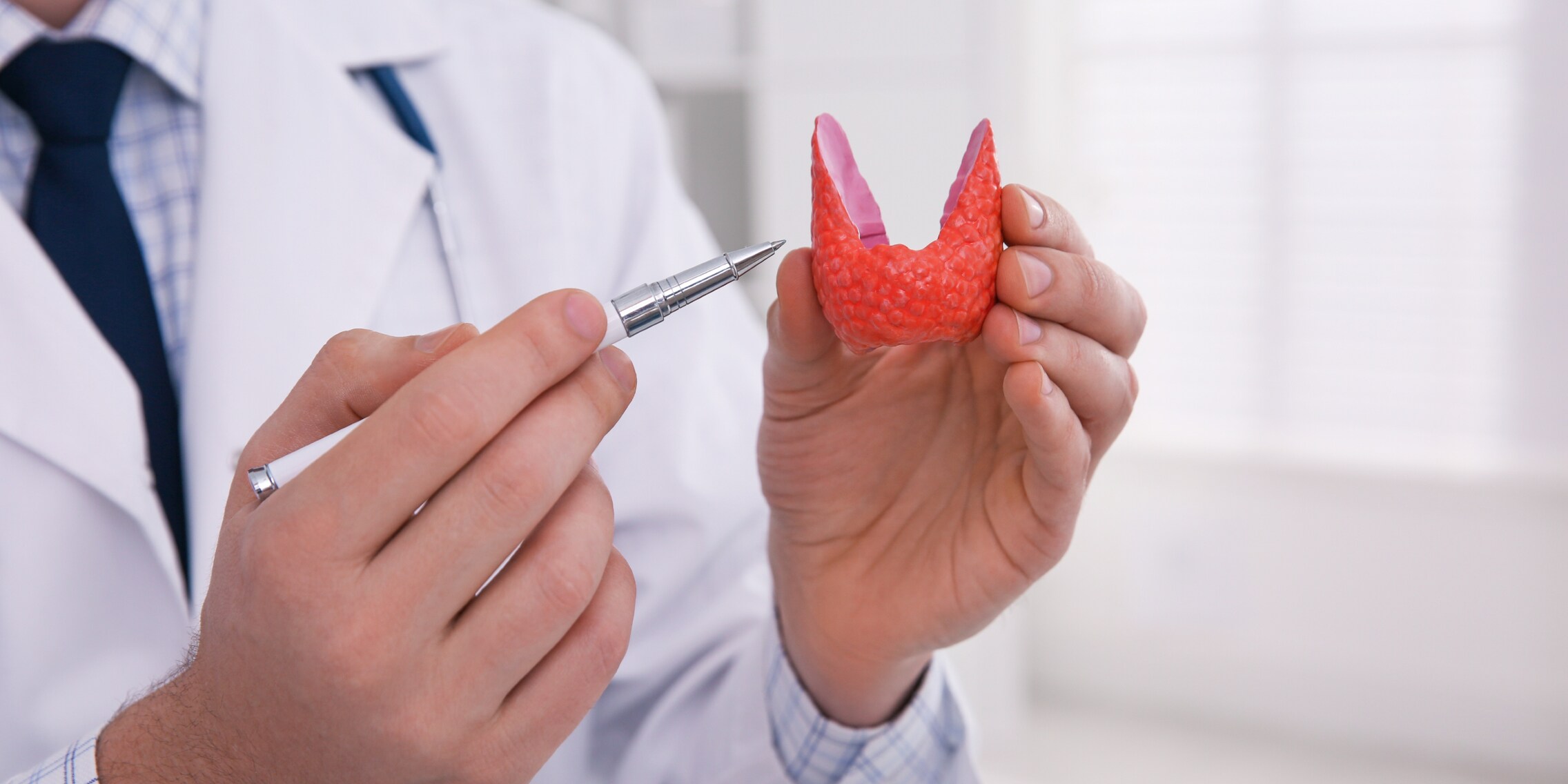 Soucis de thyroïde : l’essentiel sur la maladie d’Hashimoto - Galaxus