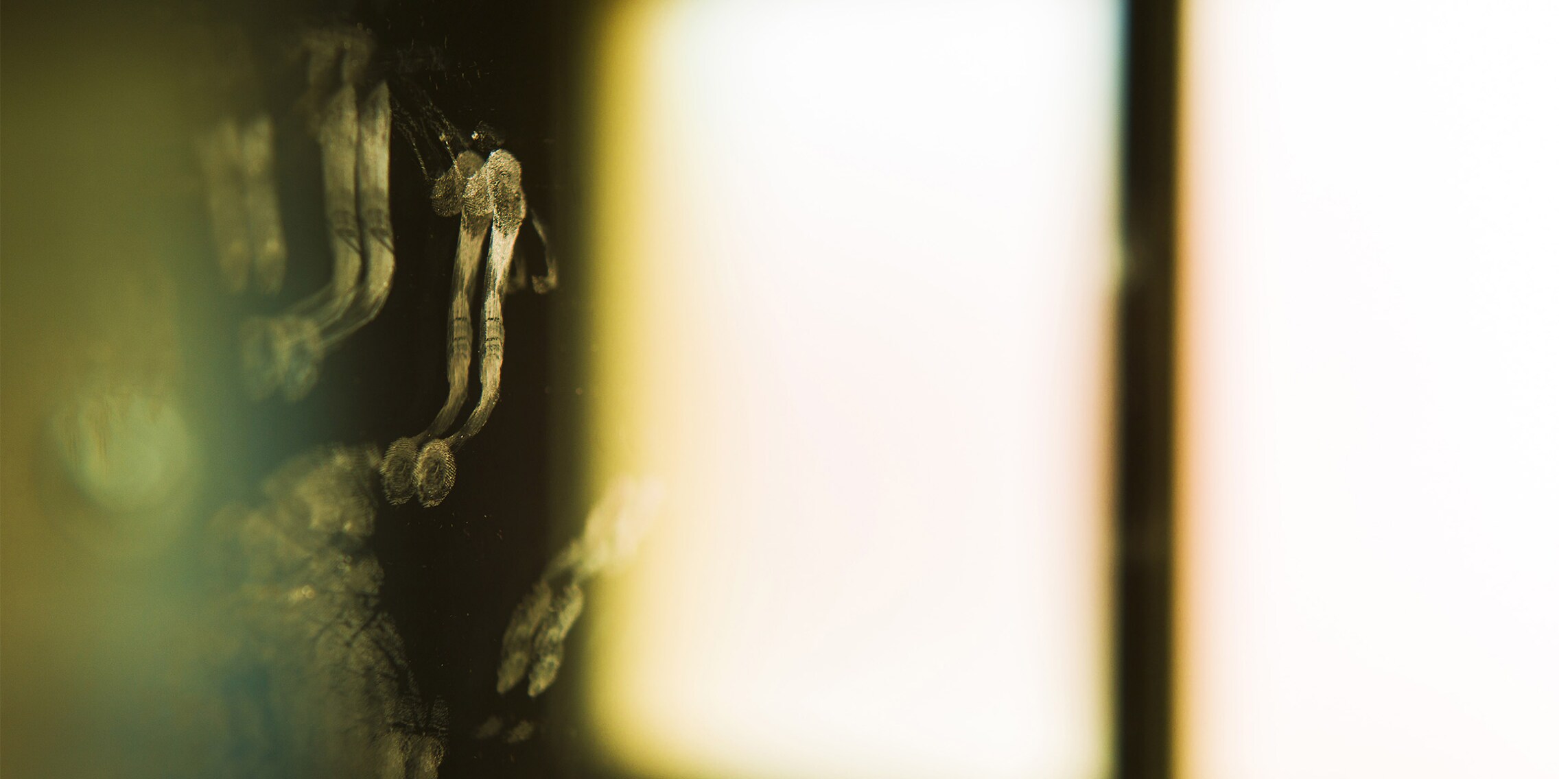 Flash tip: How to protect your mirrors from fingerprints - Galaxus