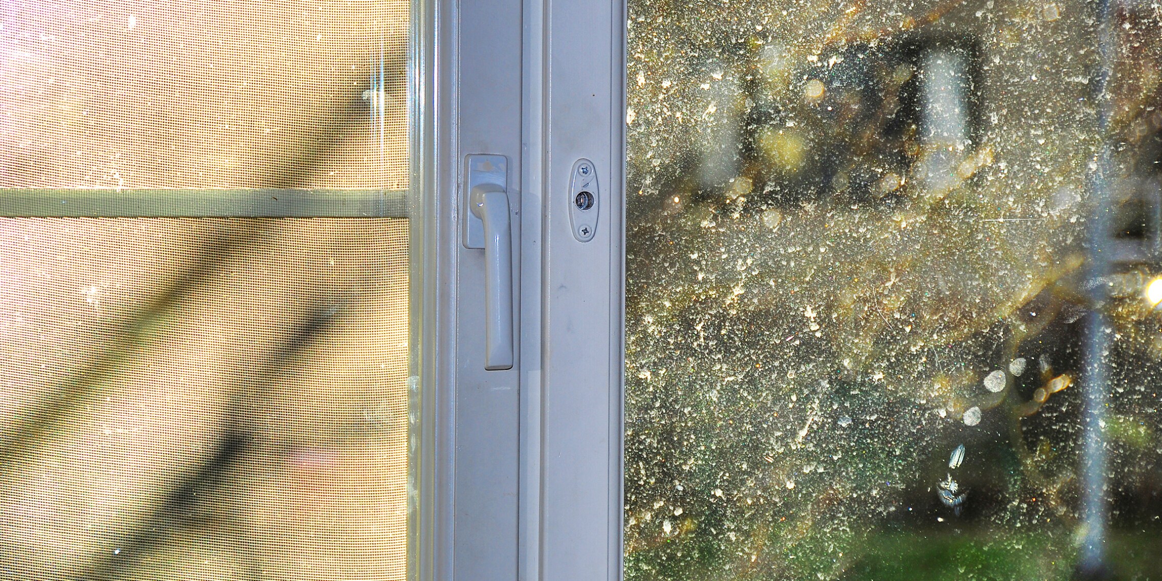 Allergie au pollen ? Comment faire de votre maison une zone de protect ...